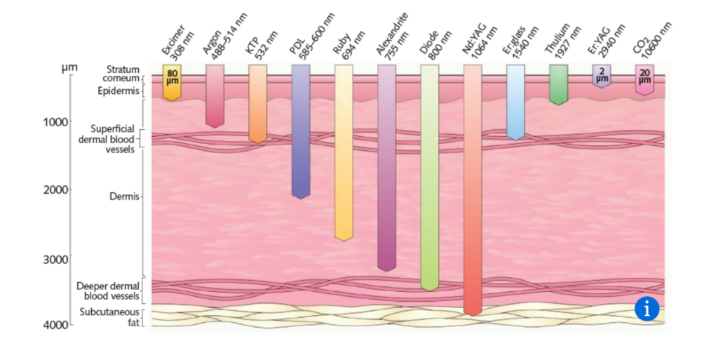 What Is MOXI - CULT Aesthetics